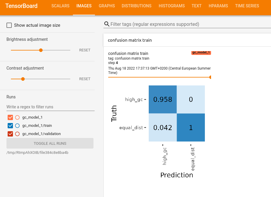 Using Tensorboard • deepG